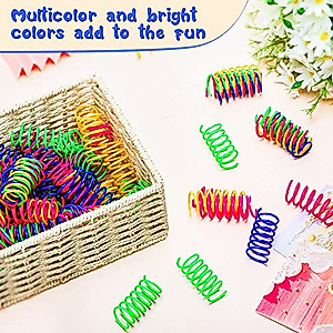 300 Pcs Cat Spring Toy, Cat Spiral Toys Interactive for Indoor Colorful Cats Plastic Springs Coil for Kitten Hunting, Swatting, Biting