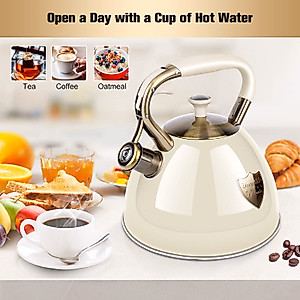 Tea Kettle Stove Top 3.17Quart Modern Whistling Tea Kettle-Surgical 5 Layer Stainless Steel Teakettle Teapot with Cool Touch Ergonomic Handle Teapot - Pot For Stove Top (copper handle)