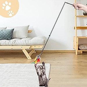 MEWTOGO Hanging Door Cat Toy, Retractable Interactive Cat Feather Toys with Super Suction Cup and 5 Replaceable Feathers, Suction Window Cat Teaser Toy for Indoor Cats Kitten Play Chase Exercise