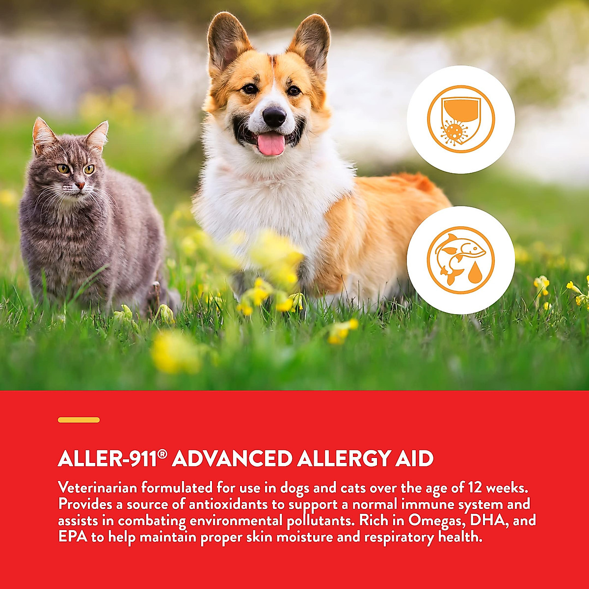 NaturVet Aller-911 Advanced Allergy Aid Formula Powder for Dogs and Cats 9 oz Powder & All-in-One Dog Supplement for Joint Support, Digestion, Skin, Coat Care – Dog Multivitamins – 13-Ounce Powder