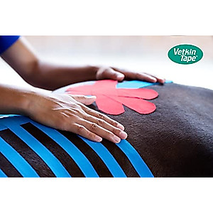 VETKIN VetkinTape® Veterinary Kinesiology Tape Blue | Kinesiology Tape for Horses & Dogs | Equine & Canine Kinesiotape | Latex Free and TÜV Quality Mark Certified Ktape | 1.2 inch | Pack of 2 Rolls