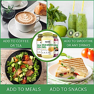 Sea Moss Gel Organic Ashwagandha Mango (25 Flavors) 24oz Wildсrafted Gold Sea Moss Gel from Saint Lucia | 92 Vitamins and Minerals | Pure Raw+Non-GMO