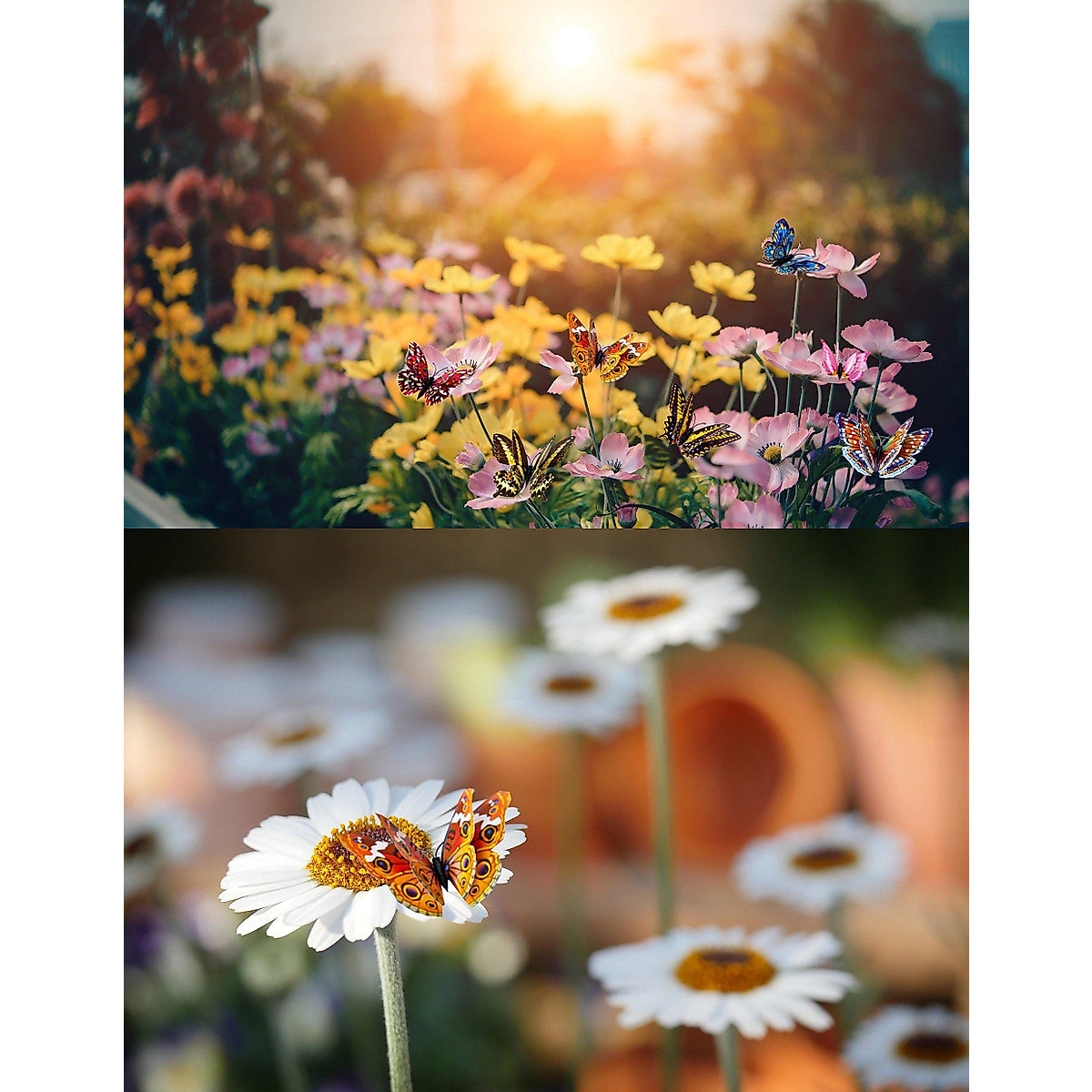 SHCHA 12 PCS Butterfly Wall Decals with Luminous Function, 3D Butterflies Removable Mural Stickers Wall Stickers Art Decal Home Decals Stickers Magnetic PVC Room&Garden Decor DIY Stickers