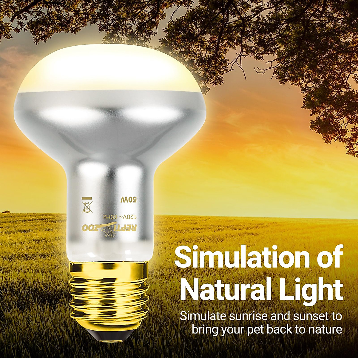 REPTI ZOO 50W Reptile Heat Lamp Bulb,2 Pack Intense Spot Basking Light,UVA Daylight Heating Lamp Bulb for Reptile & Amphibians & Chicken Brooder,Bearded Dragon, Lizard, Tortoise