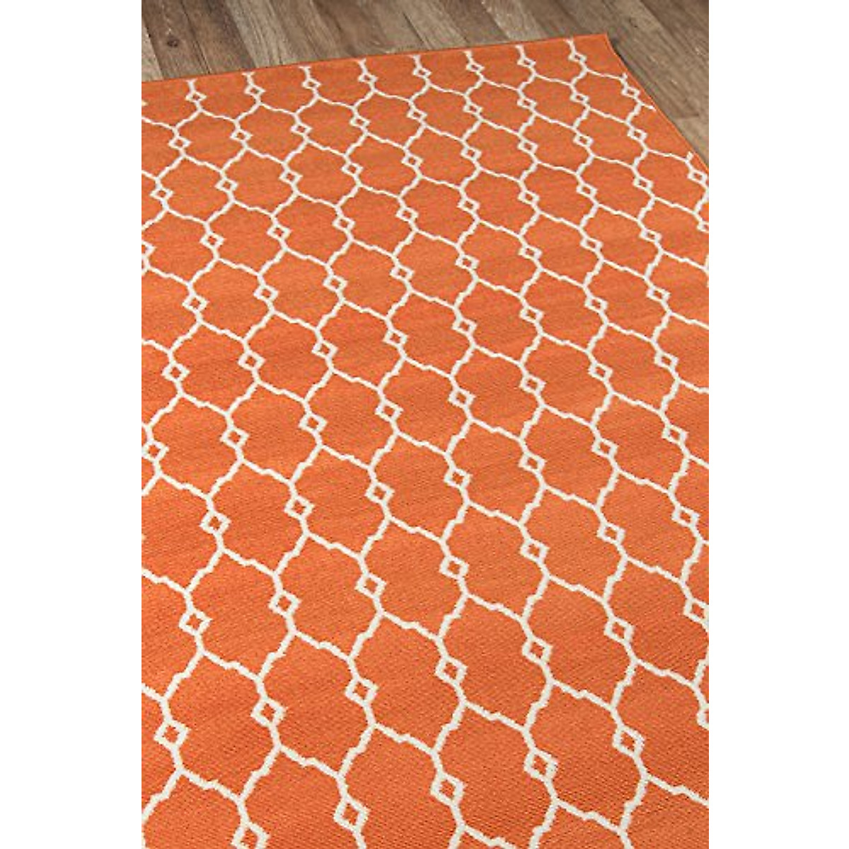Momeni Rugs , Baja Collection Contemporary Indoor & Outdoor Area Rug, Easy to Clean, UV protected & Fade Resistant, 5'3" x 7'6", Orange