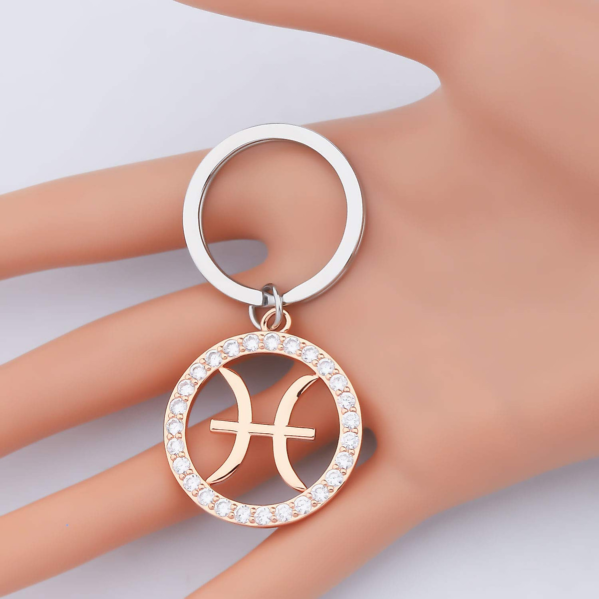 TGBJE Zodiac constellation Keychain Zodiac Sign Gift Zodiac Outline Gift Horoscope Constellation Celestial Zodiac Keychain (RG Pisces)