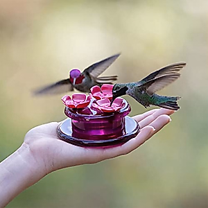 Bird Feeder Feeder Hummingbird Drinking Water Handheld Water Feeder New P-roduct Garden