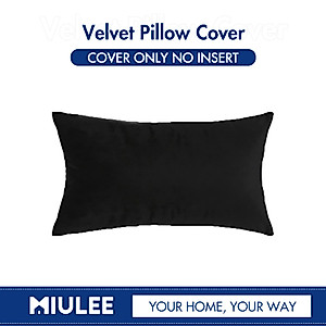 MIULEE Velvet Soft Soild Decorative Square Throw Pillow Cover Cushion Case for Sofa Bedroom Car 12 x 20 Inch 30 x 50 cm