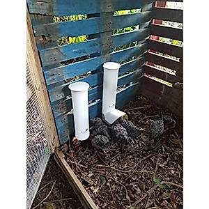 Royal Rooster Chicken Feeder and Waterer Set - Includes 1 Gallon Waterer with 2 Cups and 7lb Feeder for Chickens - Chicken Coop Accessories with Hanging Chicken Poultry Feeder and Chicken Waterer Kit