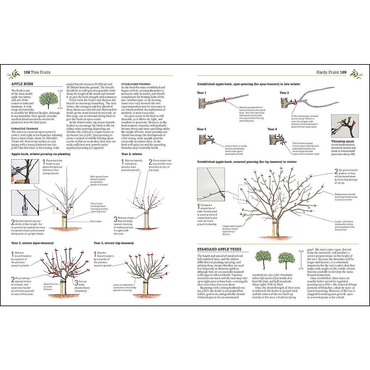Pruning and Training, Revised New Edition: What, When, and How to Prune