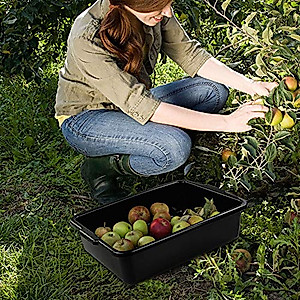 Lesbin 13 L Plastic Commercial Tote Box, Bus Tubs/Bus Box, 4-Pack