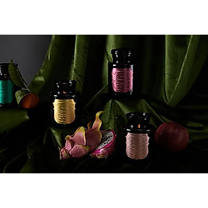 Paddywax Scented Candles Apothecary Noir Glass Jar Luxury Artisan Candle, 8-Ounce, Saffron Rose