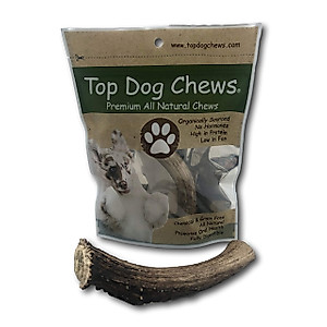 Top Dog Chews Premium Large Grade A Whitetail Deer Antler for Dogs - Single Antler