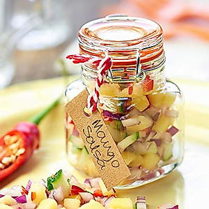 Spice Jars, SPANLA 24 Pack 4oz Small Glass Jars with Airtight Hinged Lid, With 24 Spice Labels & Silicone Funnels, Airtight Glass Jars for Spices, Condiments Herb Seasoning Art Craft Storage