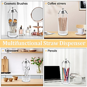 Mevtok Straw Holder for Standard Size Drinking Straws, Mevtok Acrylic Plastic Straw Dispenser for Counter with Lid (Straws Not Include)