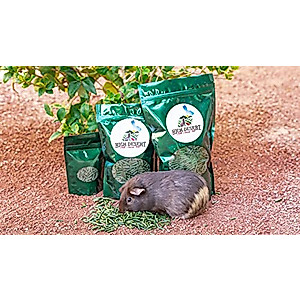 High Desert Delight Alfalfa Pellets: The Holy Grail of Small Pet Food for Your Furry, Feathered, and Shelled Friends