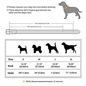 Didog Soft Padded Leather Dog Collar, Breathable Heavy Duty Dog Collar Leather with Adjustable Rust-Proof Metal Buckle for Small Medium Large Dogs (L: Total Length 20", Fit 14-17" Neck, Brown)