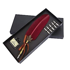 OPENDGO Vintage Feather Quill Pen and Ink Set Feather Dip Pen Calligraphy Pen Set Writing Quill Ink Dip Pen with Ink and 5 Nibs for Writing Drawing,Birthday Wedding Gift Set