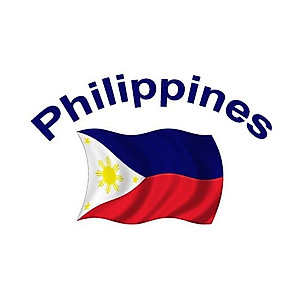 CafePress Philippines Flag Mug Ceramic Coffee Mug, Tea Cup 11 oz