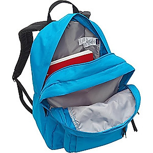 JanSport Big Student Backpack- Sale Colors (Black/White Zebra Stripe)