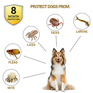 BUDOCI Flea Collar for Dogs,Flea and Tick Collar for Dogs,4 Pack Natural Flea & Tick Prevention for Dog, 24 Inch Collar for Large Small Dogs