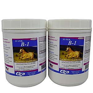 SU-PER B-1 Horse Calming Supplement - Equine Vitamin B-1 Support Horse Calmer Powder - Appetite Booster Supplement for Horses - 2.5 Pounds, (2 Pack)