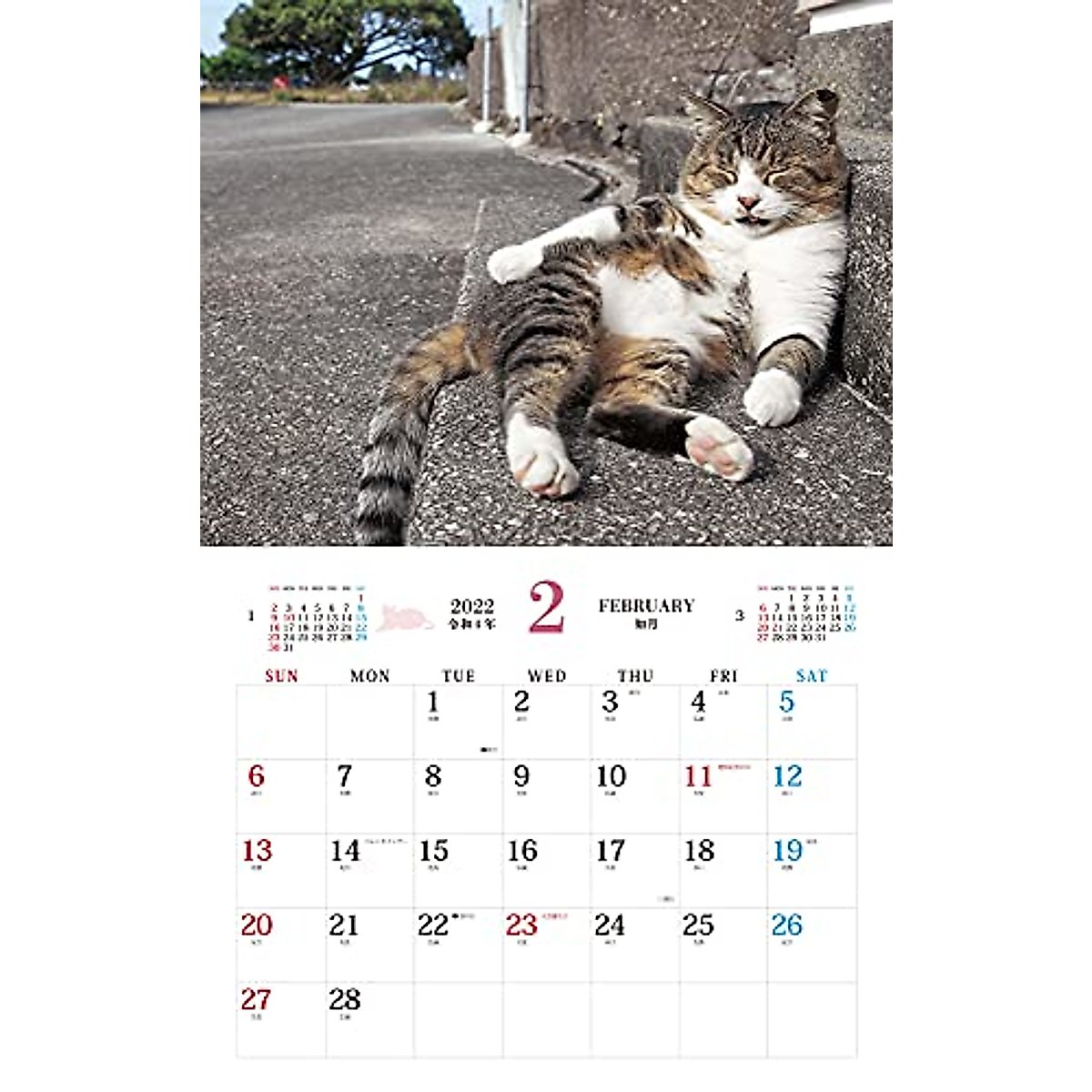 そとねこ (インプレスカレンダー2022)
