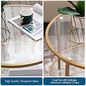 VINGLI 25.6" Round Gold Coffee Tables for Living Room, 2-Tier Glass Top Coffee Table with Storage Clear Coffee, Simple & Modern Center Table for Small Space