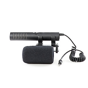 Azden SMX-20 Compact High-Performance Directional Stereo mic with stereo mini-plug output cable, windscreen and shock-mount holder