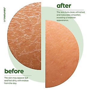 Artnaturals Tea Tree Body Wash, 12 Ounce