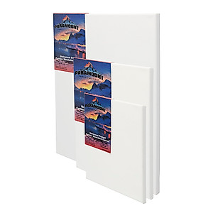 Paramount Pre-Stretched Canvas for Painting- 2-Pack, 8x10" Triple Primed White Canvases- 11/16" Deep, 100% Cotton Stretched Canvas for All Media, Medium Tooth, Back-Stapled, 12oz Primed Weight