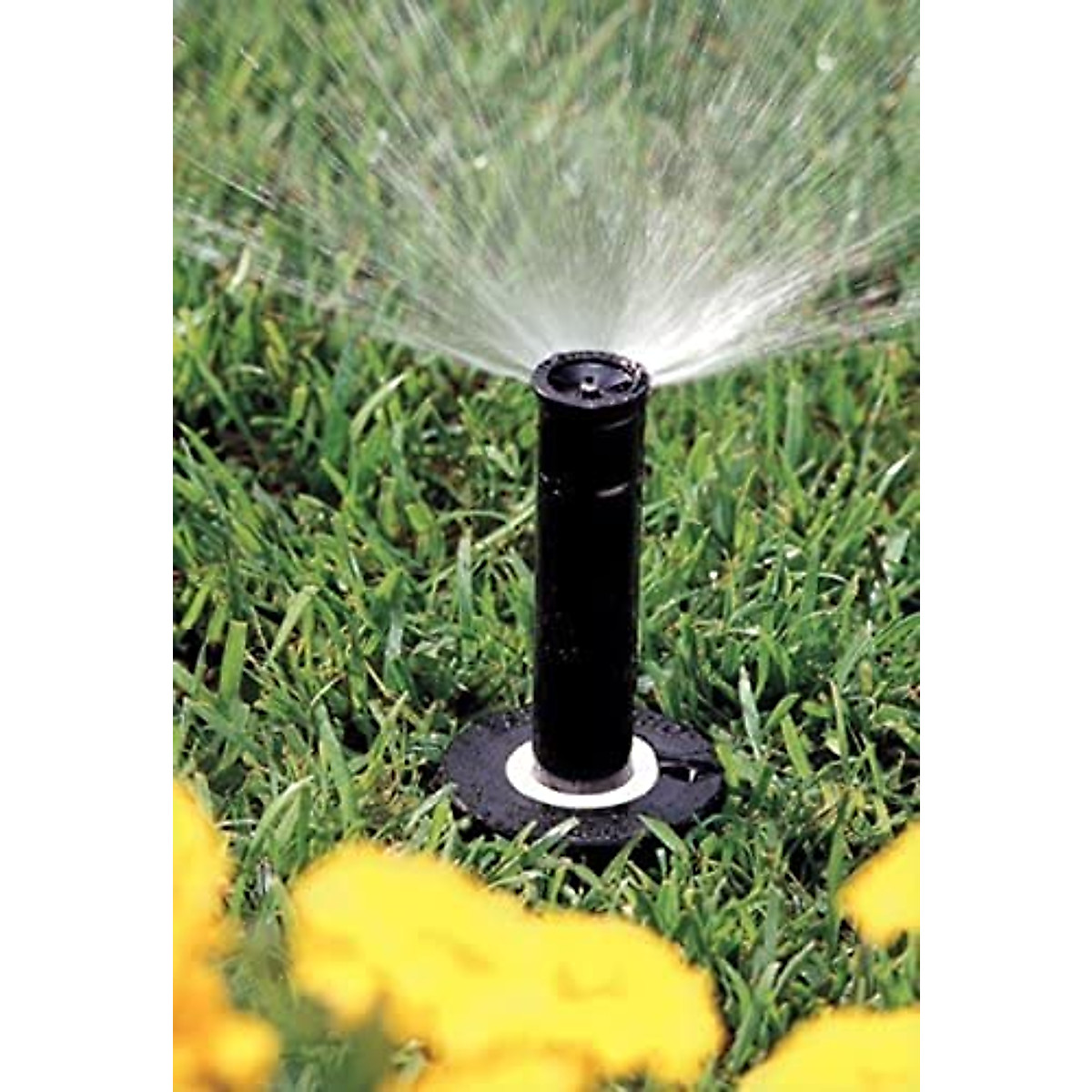 Rain Bird 1804HDSP25 Pressure Regulating (PRS) Professional Dual Spray Pop-Up Sprinkler, 180° Half Circle Pattern, 8' - 15' Spray Distance, 4" Pop-up Height