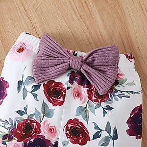 GRNSHTS Newborn Baby Girl Clothes Infant Baby Ruffle Long Sleeve Romper+Floral Flare Pants Bell Bottoms Outfit(Purple,0-3 Months)