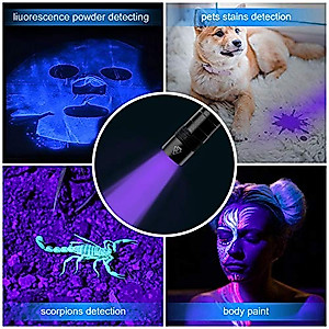 MOLAER UV Black Light Flashlight 2-Pack Mini 395nm Blacklight Pen Light for Leak, Pet Urine, Bed Bug, Scorpion, Hotel Inspection, Dry Stain and Dye Detector