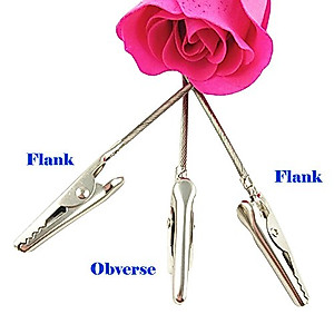 H&W 50 Pack Metal Wire Alligator Clamp, 4'' Long-Tailed Alligator Iron Clip, Stand Photo Holder Stand Memo Clip (WE1-D1)