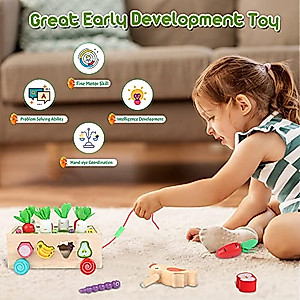 Bravmate Toddlers Montessori Educational Toys for Kids Age 2 3 4 Years Old, Shape Sorting Toys for Boys Girls 2-4, Wood Preschool Learning Fine Motor Skills Game
