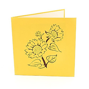 Liif 3D Greeting Pop Up Get Well Card, Get Well Soon Card (Sunflower)