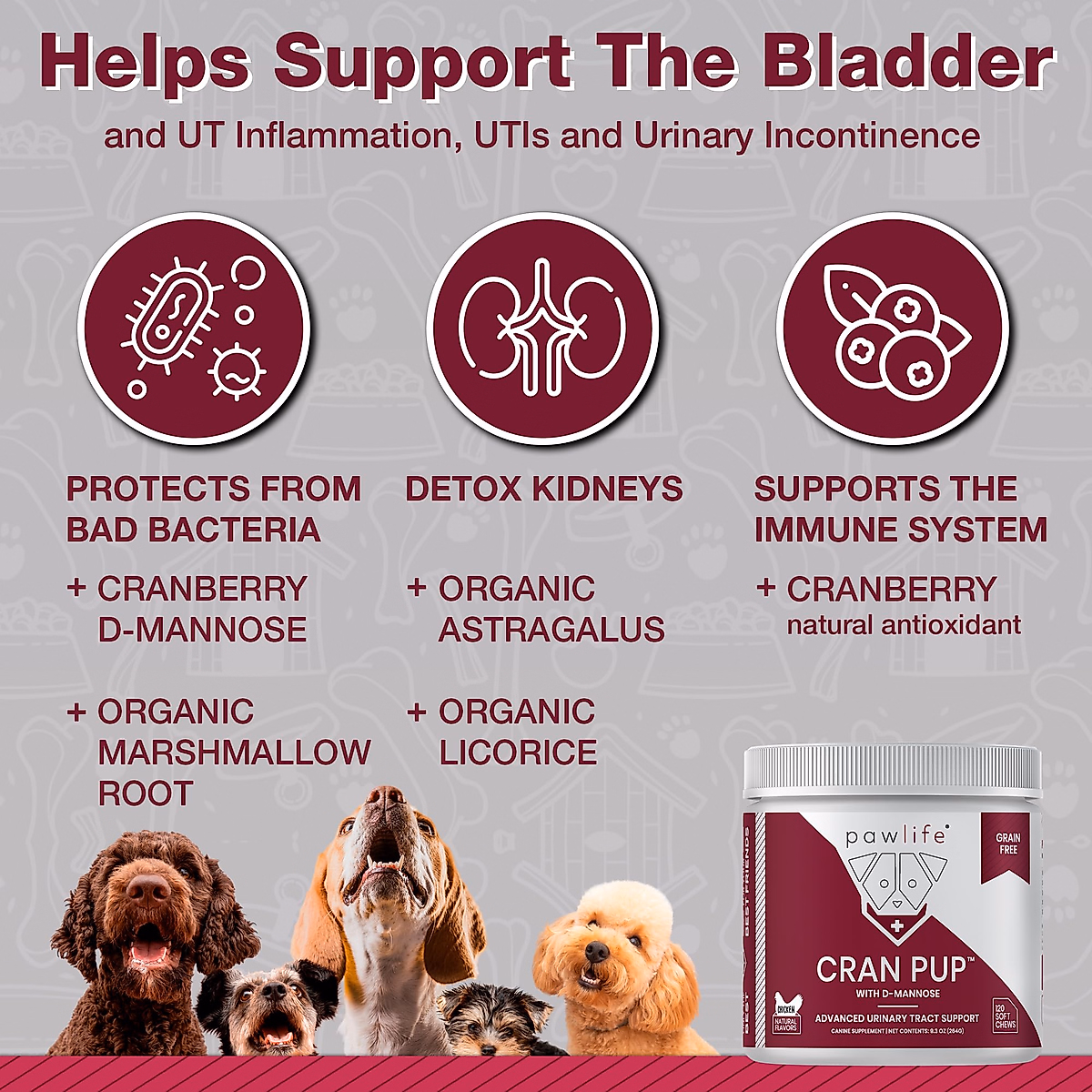 Pawlife Cranberry Supplements for Dogs| Urinary Tract & Bladder Support| D Mannose & Antioxidants for Support| 120 Veterinarian Formulated Soft Chews| Up to 4-Month Supply