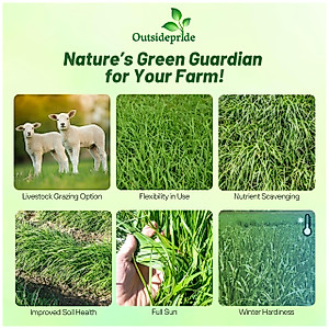 Outsidepride 25 lb. Annual Ryegrass Hay, Forage, & Pasture Seed