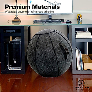 ProBody Pilates Yoga Ball Chair - Exercise Ball Chair for Office Desk with Cover for Posture Support (Charcoal, 24 in)