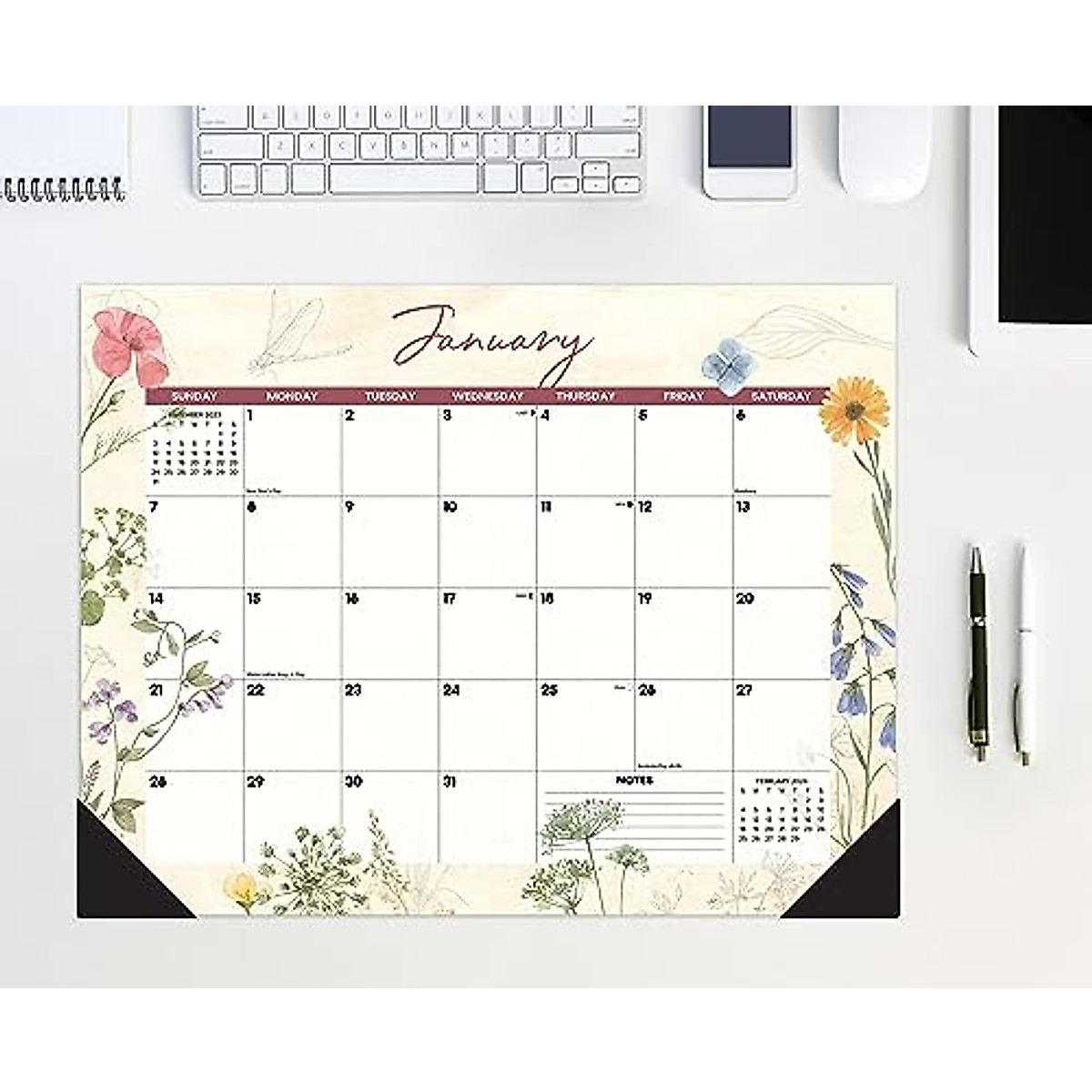 Willow Creek Press Botanical Garden Monthly 2024 Deskpad Calendar (22" x 17")