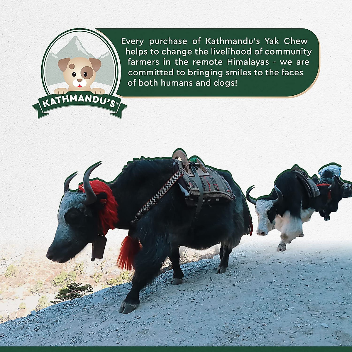 Authentic Himalayan Yak Cheese for Dogs - XLarge (Pack of 2) - Sourced from Pristine Himalayan Foothill, Rawhide-Free, NO preservatives