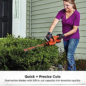 beyond by BLACK+DECKER 20V MAX Hedge Trimmer Kit, 18-Inch (LHT218D1AEV) , Orange