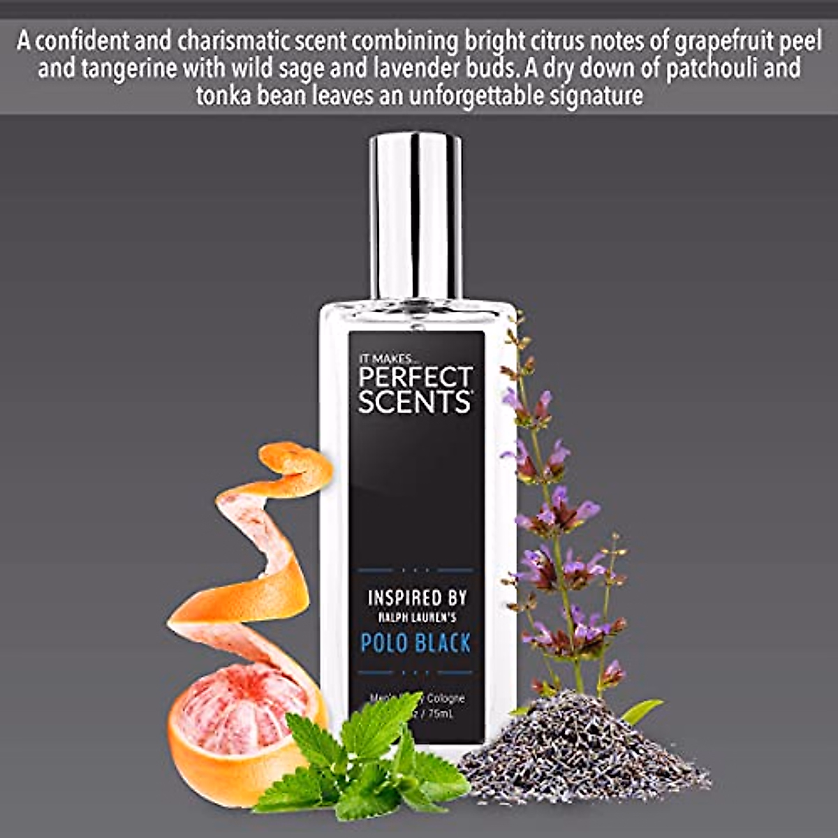 Perfect Scents Fragrances | Inspired by Ralph Lauren's Polo Black | Men’s Eau De Toilette | Vegan, Paraben Free, Phthalate Free | Never Tested on Animals | 2.5 Fluid Ounces