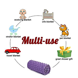 Pro Goleem Baby Soft Minky Dot Blanket with Silky Satin Backing Baby Gifts for Boys and Girls (Purple, 30’’ x 40’’)