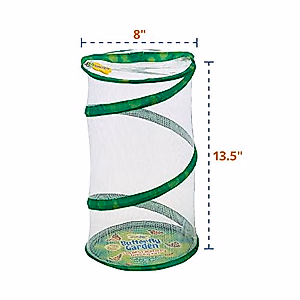 Insect Lore Butterfly Garden Gift Set | 8" Habitat with Live Cup of Caterpillars | Stickers and Extras Included | Life Science & STEM Education Kit | Grow Painted Lady Butterflies