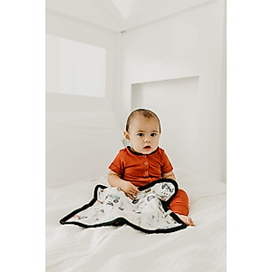 Copper Pearl 3-Layer Knit Security Blanket Set Sized 16" x 16" 2-Pack Jo