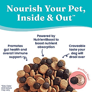 Solid Gold Dry Dog Food for Adult & Senior Dogs - Made with Real Lamb & Brown Rice - NutrientBoost Hund-N-Flocken Healthy Dog Food for Weight Management & Digestive Support