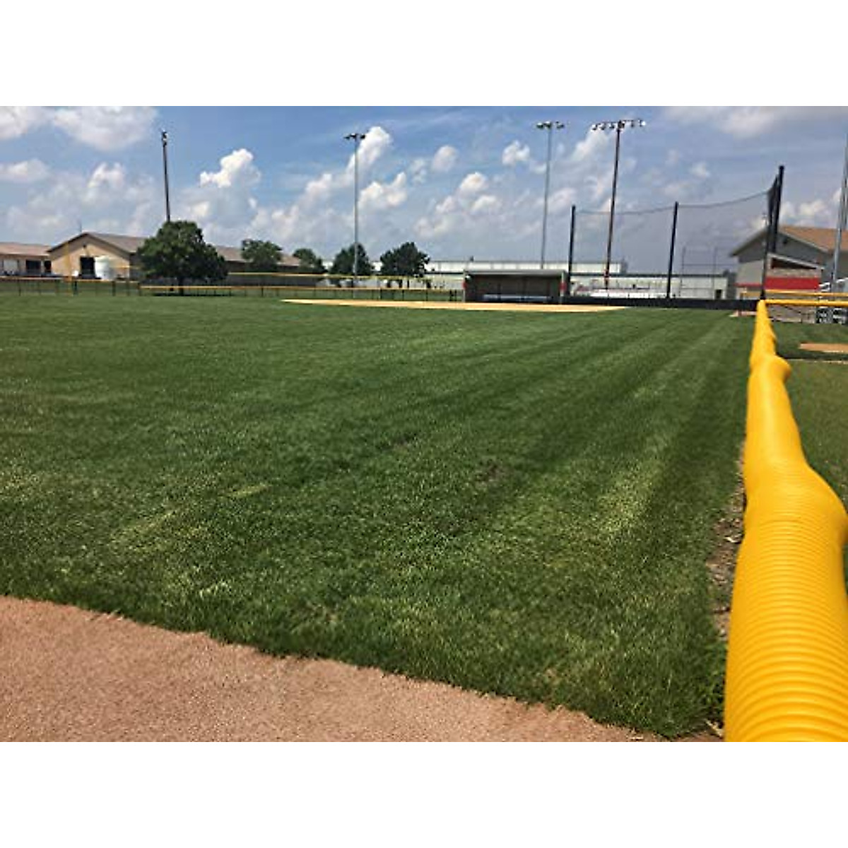 Barenbrug Turf Saver RTF Grass Seed with Yellow Jacket Seed Coating - Less Water Self-Repairing Tall Fescue Turf for Use on Sports Field, Golf Courses, Parks, Lawns, and Yard (10 LB Bag)