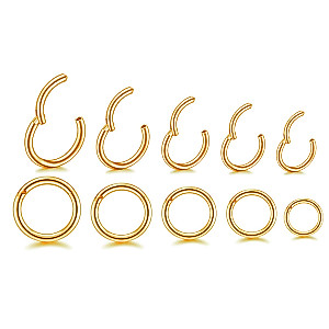 16G Surgical Steel Hinged Clicker Segment Nose Rings Hoop Helix Cartilage Daith Tragus Sleeper Earrings Body Piercing for women (16G - Gold - (6mm-14mm) - 10Pcs)